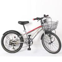 China High Carbon Steel MTB Mountain Bikes SHIMANO 6 Speed 20/22/24 Inch Student Bike for sale