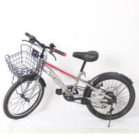 China High Carbon Steel MTB Mountain Bikes SHIMANO 6 Speed 20/22/24 Inch Student Bike for sale