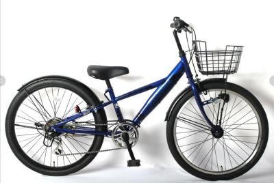 China Aluminum Alloy 6 Speed MTB Mountain Bikes 20/22/24 Inch for sale