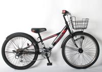 China Aluminum Alloy 6 Speed MTB Mountain Bikes 20/22/24 Inch for sale