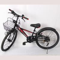 China SHIMANO Six Speed Student MTB Mountain Bikes 20/22/24 Inch MTB Bicycle for sale