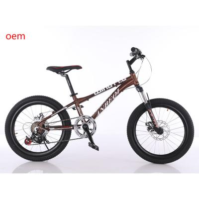 China 20 Inch 6 Speed MTB Mountain Bikes With Aluminum Alloy Rim for sale