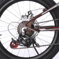 China 20 Inch 6 Speed MTB Mountain Bikes With Aluminum Alloy Rim for sale