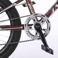 China 20 Inch 6 Speed MTB Mountain Bikes With Aluminum Alloy Rim for sale
