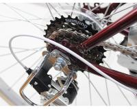 China Caliper Braking System Road Bicycle 700C Mountain Street Bike for sale