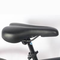 China Oem Accpeted Road Bike 700c Air Tyre Included 6 Speed Aluminum Alloy for sale