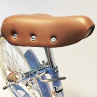 China Single Speed Steel City Bikes Ladies 22/24 Inch Retro Bicycle OEM for sale