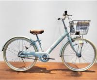China Single Speed Steel City Bikes Ladies 22/24 Inch Retro Bicycle OEM for sale