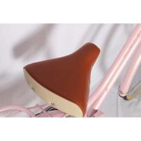 China Flat Handlebar 6 Speed Classic Carbon City Bikes For 160-180cm Riders for sale