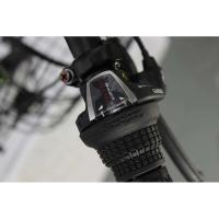 China Aluminum Alloy Steel City Bikes Ladies Cycle 20 Inch With Ordinary Pedal for sale