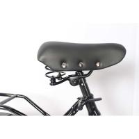 China Aluminum Alloy Steel City Bikes Ladies Cycle 20 Inch With Ordinary Pedal for sale