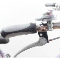 China Alloy Rim Material City Bicycle For Customized And Performance for sale