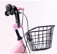 China Rust Resistant Chain Aluminum Alloy Childrens Bikes Double Wall Alloy Rim Single Speed for sale