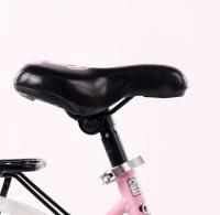 China Rust Resistant Chain Aluminum Alloy Childrens Bikes Double Wall Alloy Rim Single Speed for sale