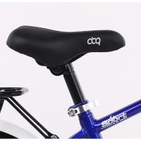 China Ultra Lightweight Aluminum Alloy Kids Bike Single Speed 14.3 Kg With Tire for sale