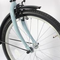 China Single Speed Street Cruiser Folding Bike Size 20'' Accpeted OEM for sale