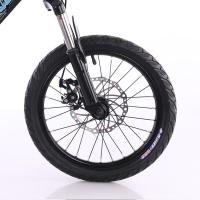 China Blue 4 Wheel Lightweight Childrens Bikes 20 Inch OEM ODM for sale