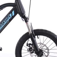 China Blue 4 Wheel Lightweight Childrens Bikes 20 Inch OEM ODM for sale