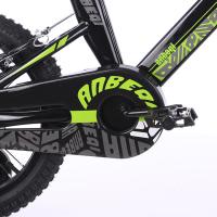 China Front Suspension Single Speed Aluminum Alloy Kids Bikes For Thrilling Adventures for sale