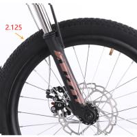 China 16 Inch Lightweight Childrens Bikes For 2 To 9 Years Old for sale