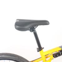 China 21-Speed 2-Wheel Carbon Steel MTB Mountain Bike With Shimano Tourney Derailleurs for sale