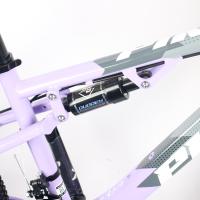 China Wholesale 21 Speed Customized Cheap Adult Mountain Bike 24/27.5 Inch Bicycle for sale