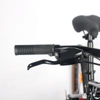 China Aullt Unisex 26 Inch Mountain Bike 21 Speed Mtb Women Men Mountain Bicycle for sale