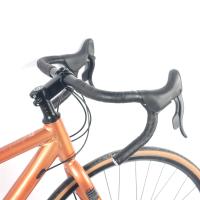 China Hot Selling Men And Women Good Quality Single Speed 700C Bicycle Mountain Bike for sale