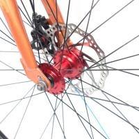 China Hot Selling Men And Women Good Quality Single Speed 700C Bicycle Mountain Bike for sale