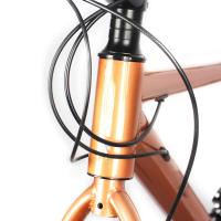 China Hot Selling Men And Women Good Quality Single Speed 700C Bicycle Mountain Bike for sale