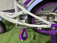 China Ordinary Pedal Childrens Training Wheel Bikes With Carbon Steel Style for sale