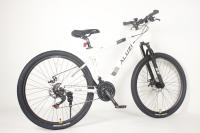 China 2 Wheel Shimano Tourney Front Derailleur Disc Brake Carbon Mountain Bike for sale