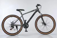 China Customized 21 Speed Mtb Mountain Bikes With Gears And Shimano Tourney Front Derailleur for sale