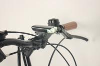 China Carbon Frame 2 Wheel Folding Commuter Bicycle With Antirust Chain for sale