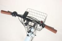 China Carbon Frame 2 Wheel Folding Commuter Bicycle With Antirust Chain for sale