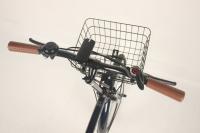 China Steel Rim Foldable Race Bike With Inner Tire Kenda 20