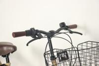 China Experience Comfortable Saddle On-Road Convenience Folding Urban Cycle for sale