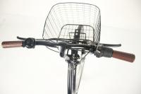 China Fork Suspension Foldable Street Bike for Easy Climbing 15 Degrees Ability for sale