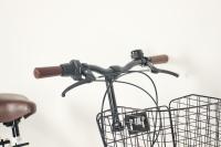 China Aluminum Alloy Fork Material Folding Urban Cycle For Comfortable City Living for sale