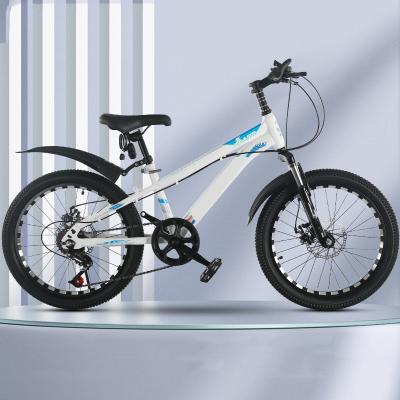China Aluminum Alloy Rims Lightweight Childrens Bikes With Adjustable Seat Height And 6 Speed Gears for sale