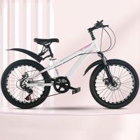 China Aluminum Alloy Rims Lightweight Childrens Bikes With Adjustable Seat Height And 6 Speed Gears for sale