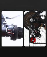 China Smooth Riding Lady Bike with Single Speed Gears and 700c Wheel Size for sale