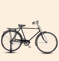 China Aluminum Frame Urban City Bicycles Medium Size and Alloy Rims for City Adventures for sale