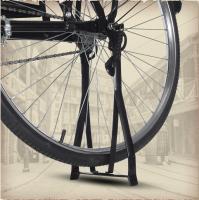 China Aluminum Frame Urban City Bicycles Medium Size and Alloy Rims for City Adventures for sale