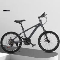 China MTB Mountain Bikes Comfortable Seat and MTB Sport Saddle for Performance in Requirements for sale