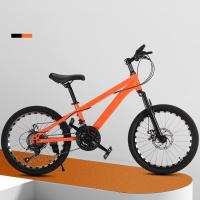China MTB Mountain Bikes Comfortable Seat and MTB Sport Saddle for Performance in Requirements for sale