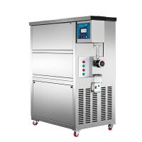 China Commercial Flake Ice Machine with 10000kg/24h Production Capacity 12 Months Warranty and 2.2-4.5KW Power for High-Demand Applications for sale