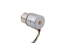China 4 Wire Dual Output Shaft Motor 20mm High Torque Geared DC Motor With Cylinder Gearbox for sale