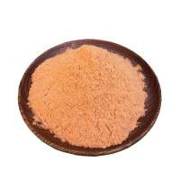 China Gourmet Cheese Seasoning Powder  Ultimate Taste Sensation for sale