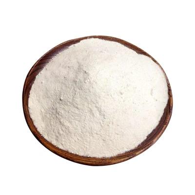 China Garlic Seasoning Powder Transform Ordinary Products into Extraordinary Ones for sale